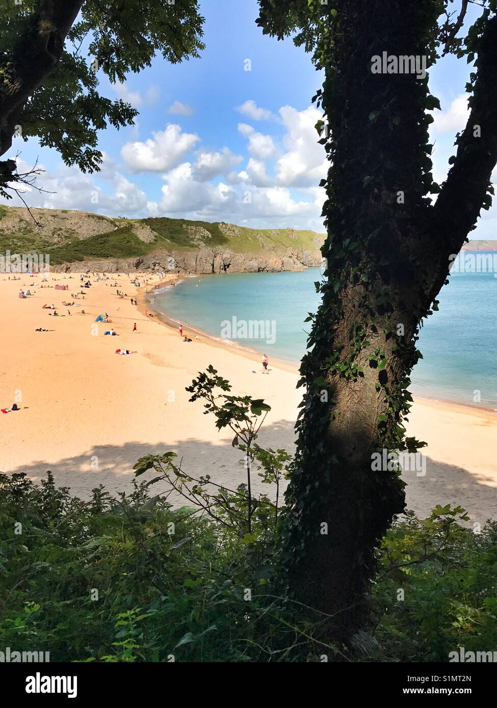 The beach at Barafundle Bay, Pembrokeshire, Wales Stock Photo - Alamy