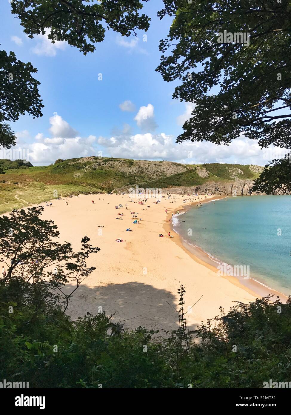 The beach at Barafundle Bay, Pembrokeshire, Wales Stock Photo - Alamy