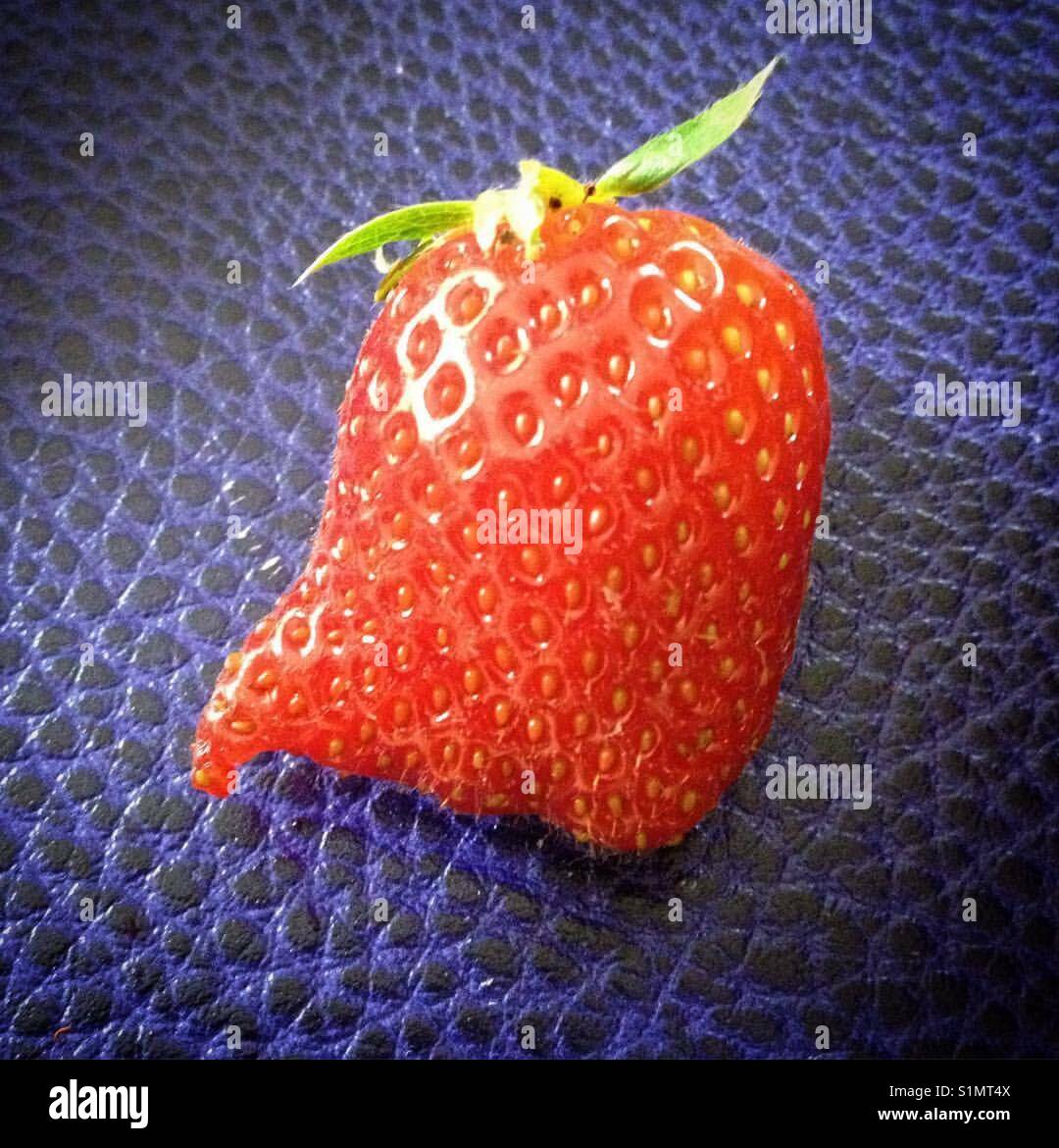 Prize strawberry hi-res stock photography and images - Alamy