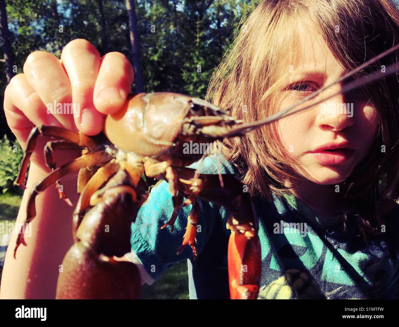 Boy with crayfish Stock Photo - Alamy