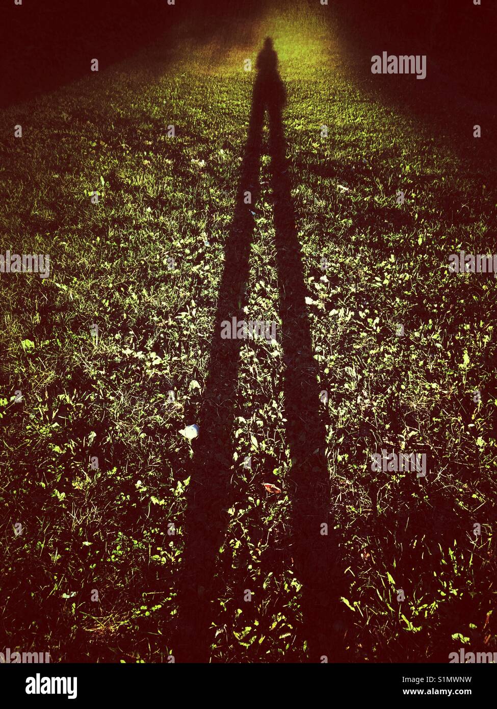 Long legs shadow Stock Photo - Alamy