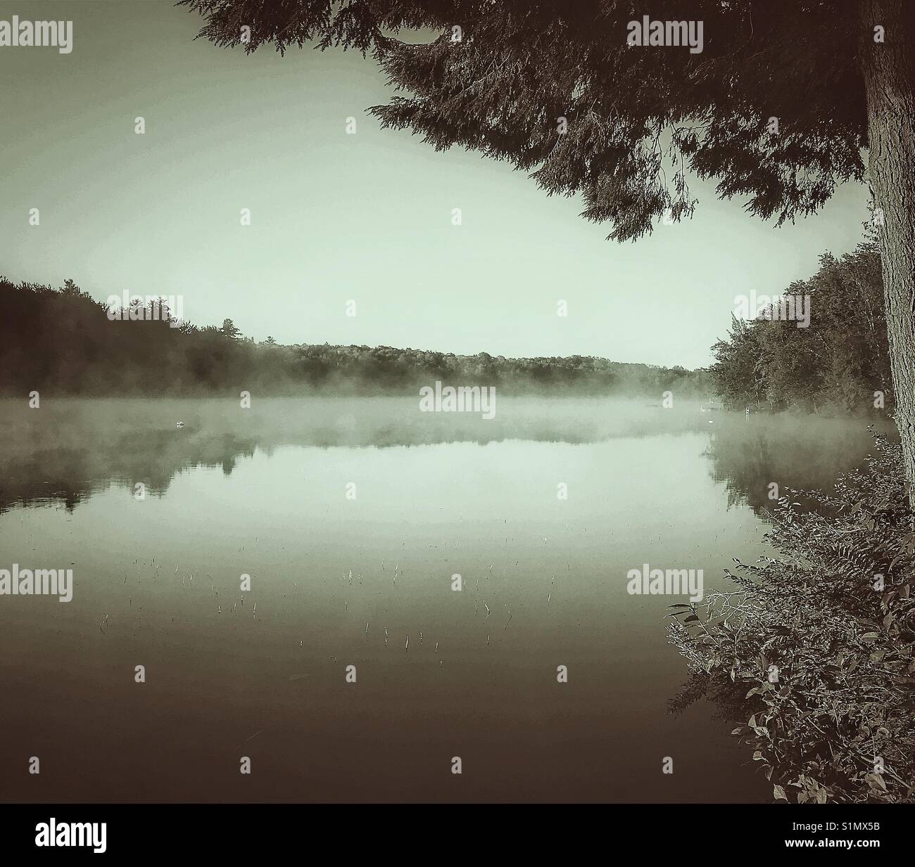 Mist on the lake Stock Photo - Alamy