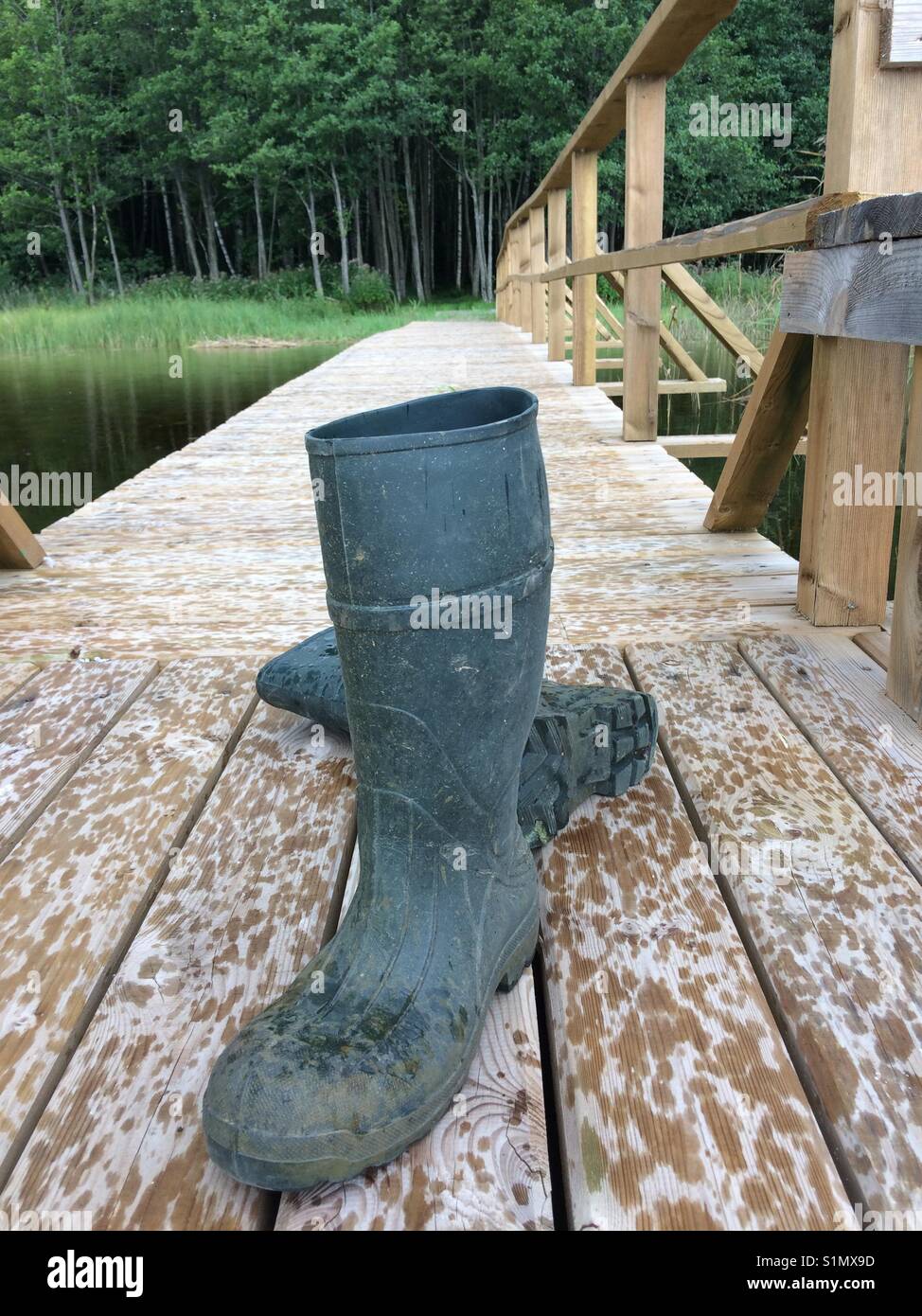 Swimming in the rain Stock Photo - Alamy