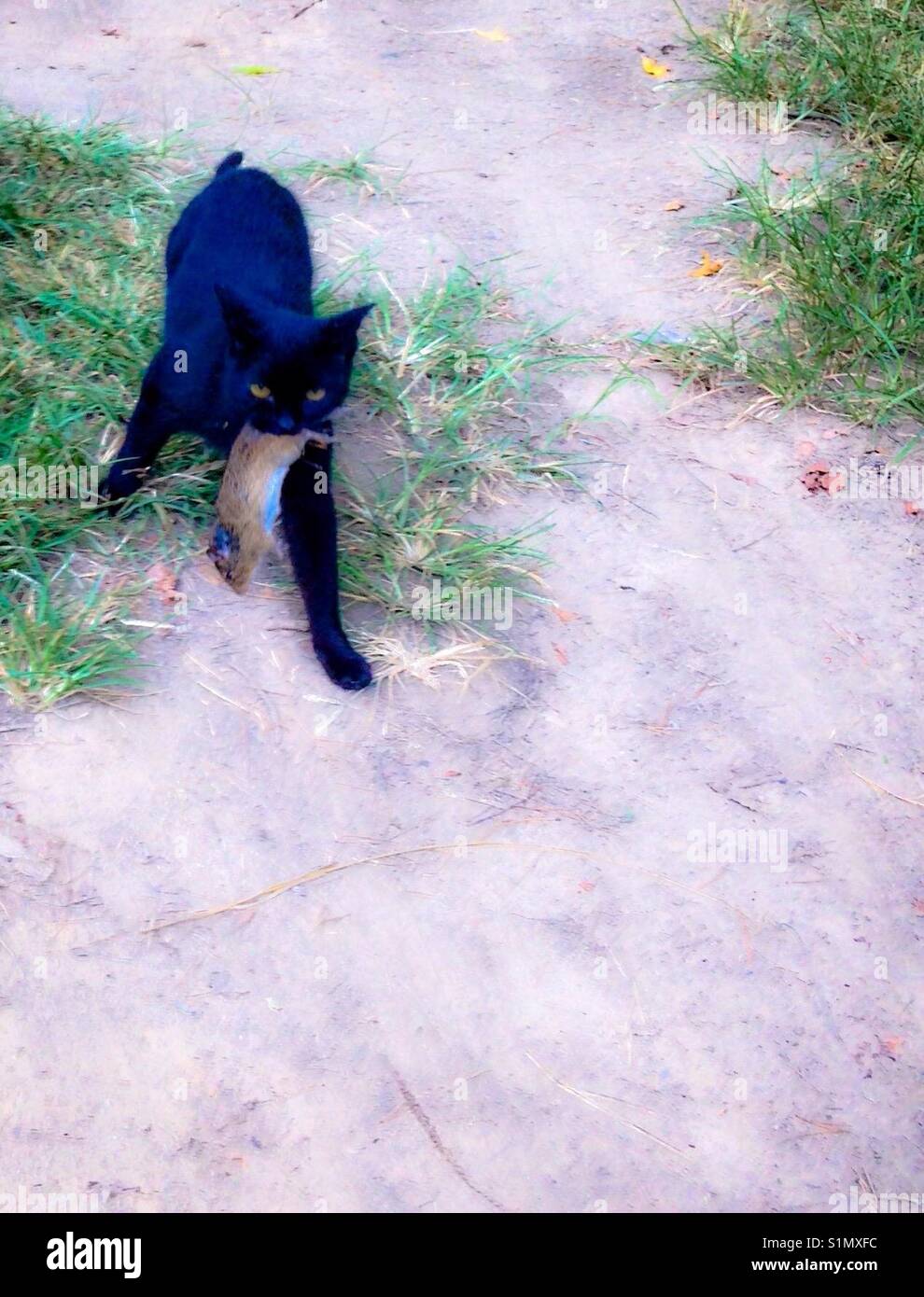 Family provider hi-res stock photography and images - Alamy