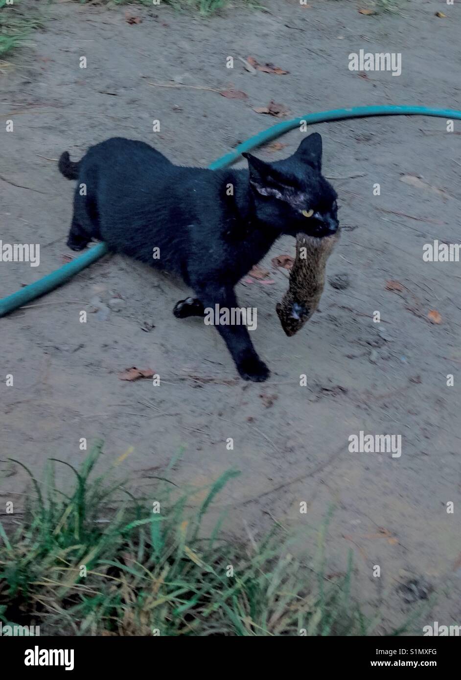 Tom hunter hi-res stock photography and images - Alamy