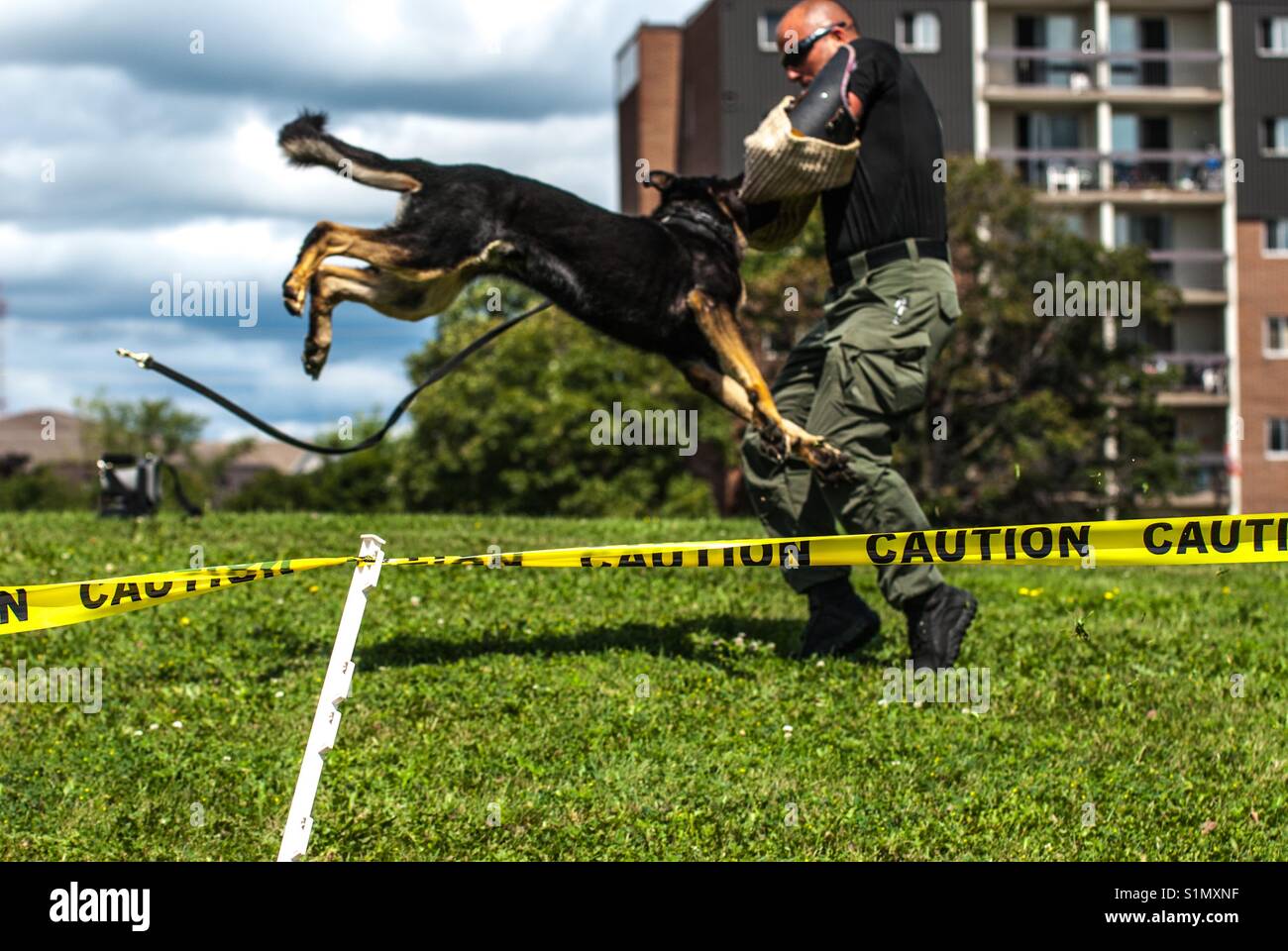 K9 unit hi-res stock photography and images - Alamy