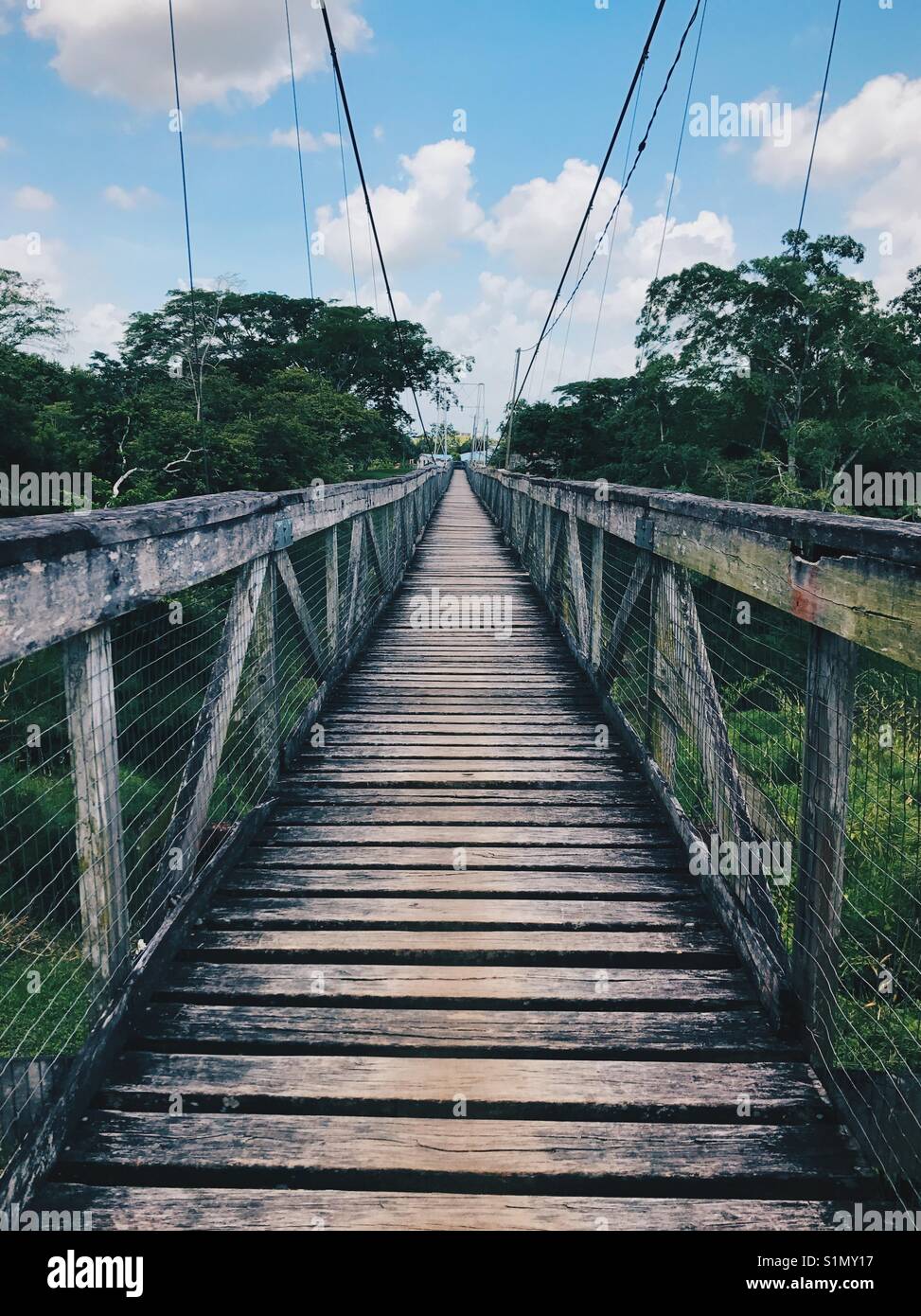 Rope bridge jungle hi-res stock photography and images - Alamy