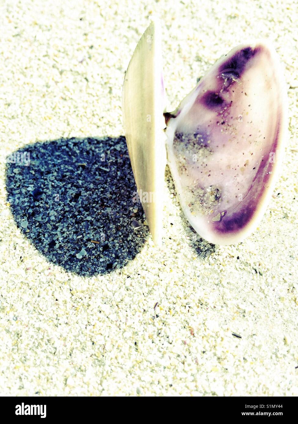 Pipi hi-res stock photography and images - Alamy