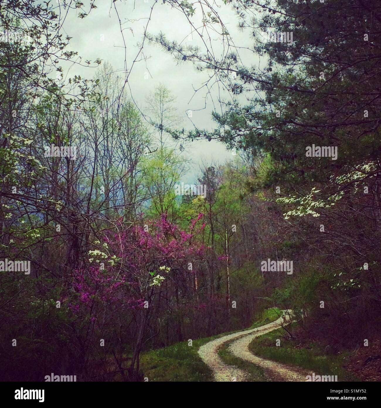 Paradise kentucky hi-res stock photography and images - Alamy