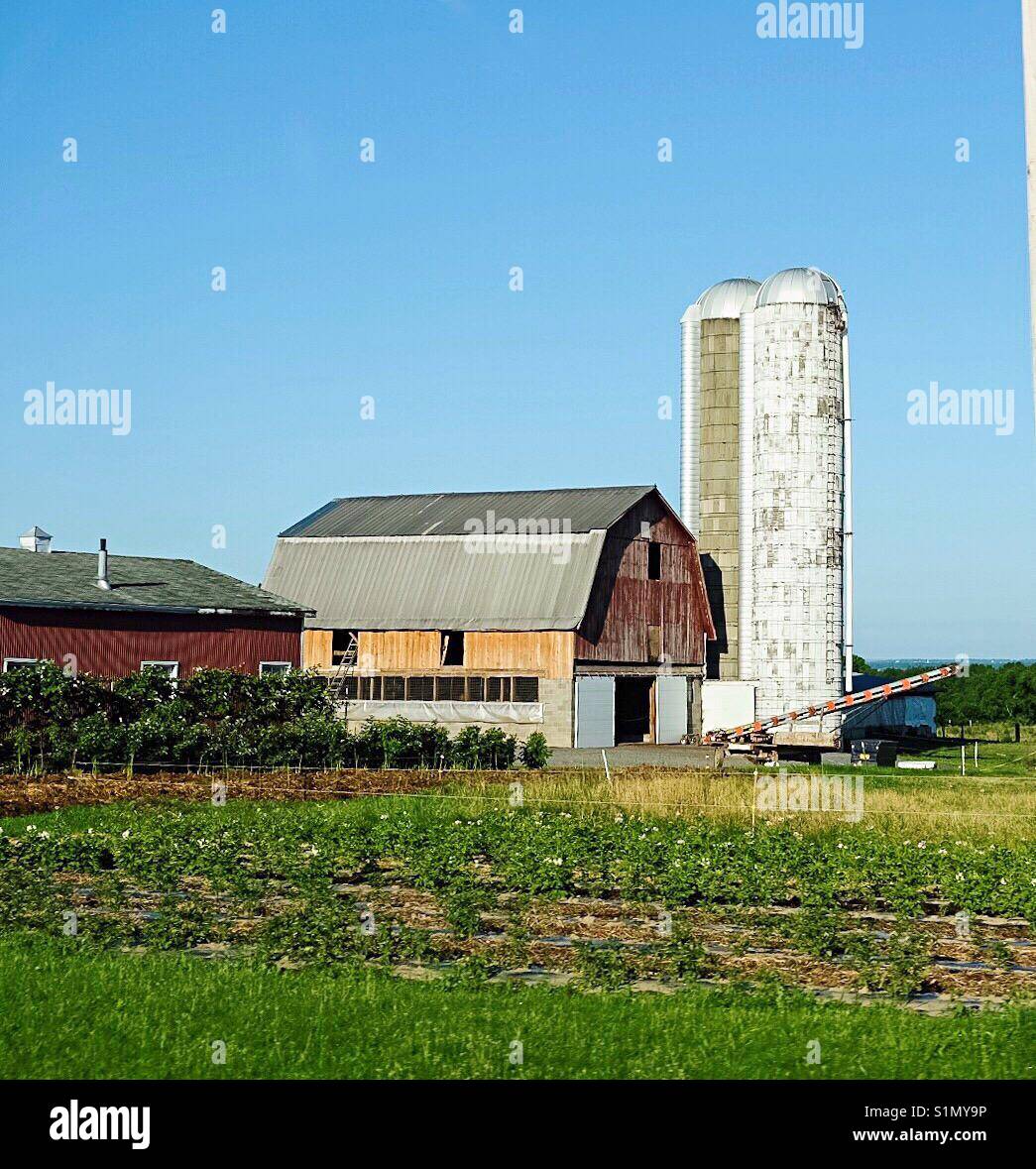 Life at the countryside hi-res stock photography and images - Alamy