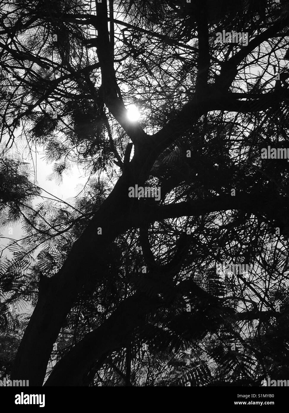 White sun hi-res stock photography and images - Alamy