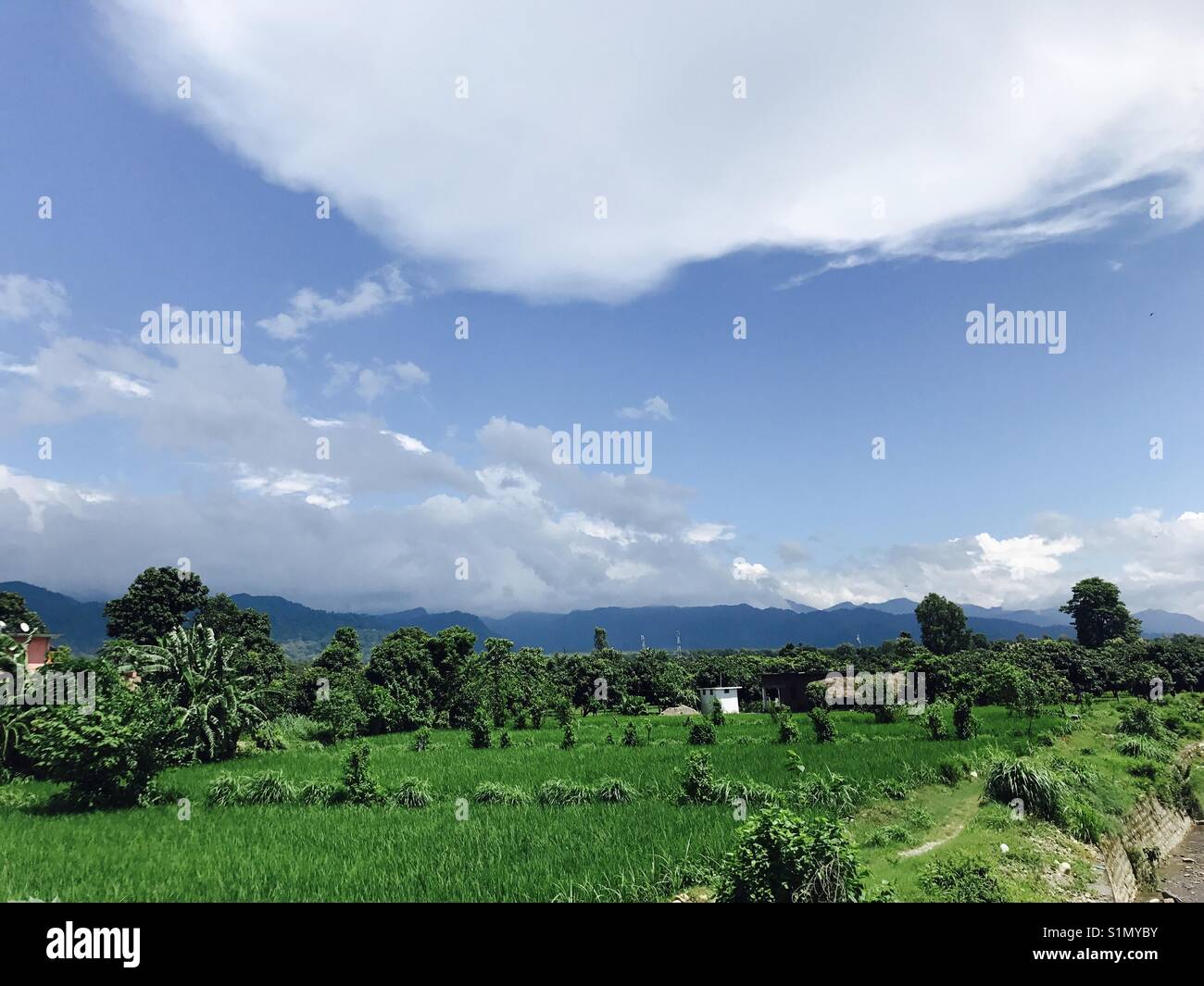 Buty hi-res stock photography and images - Alamy