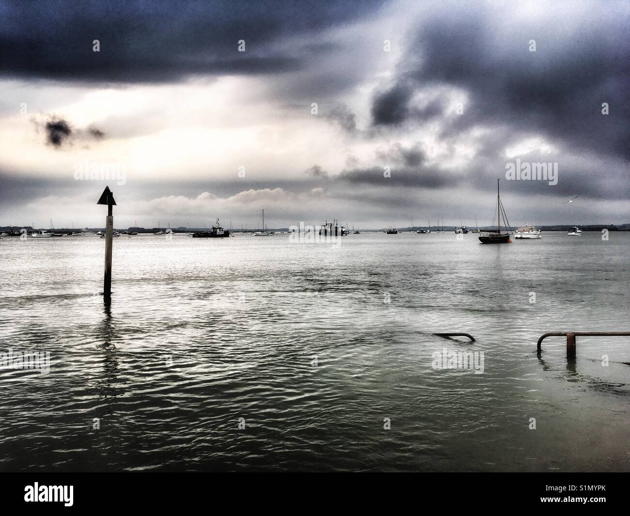 High tide river Deben Bawdsey Ferry Suffolk England Stock Photo - Alamy