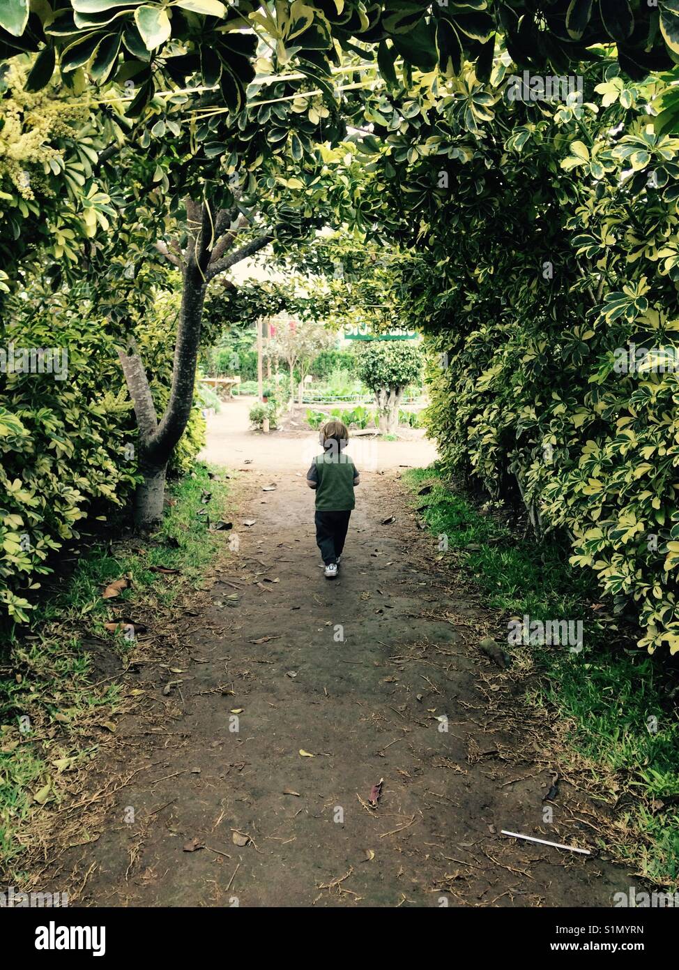 Boy on forest path hi-res stock photography and images - Alamy