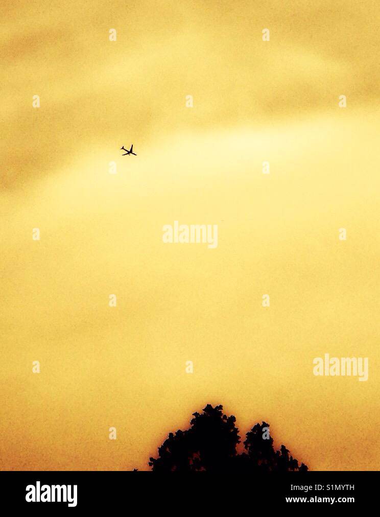 Golden glow surrounds jet flying over tree Stock Photo - Alamy