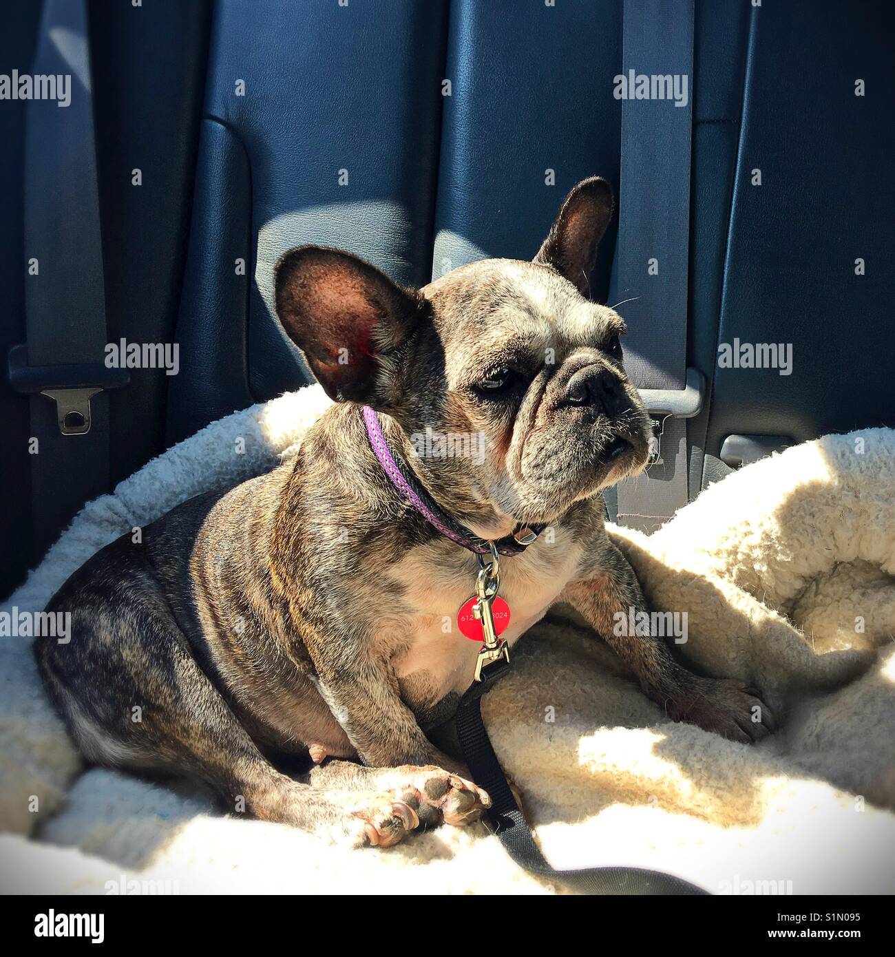 Riding in the car hi-res stock photography and images - Alamy