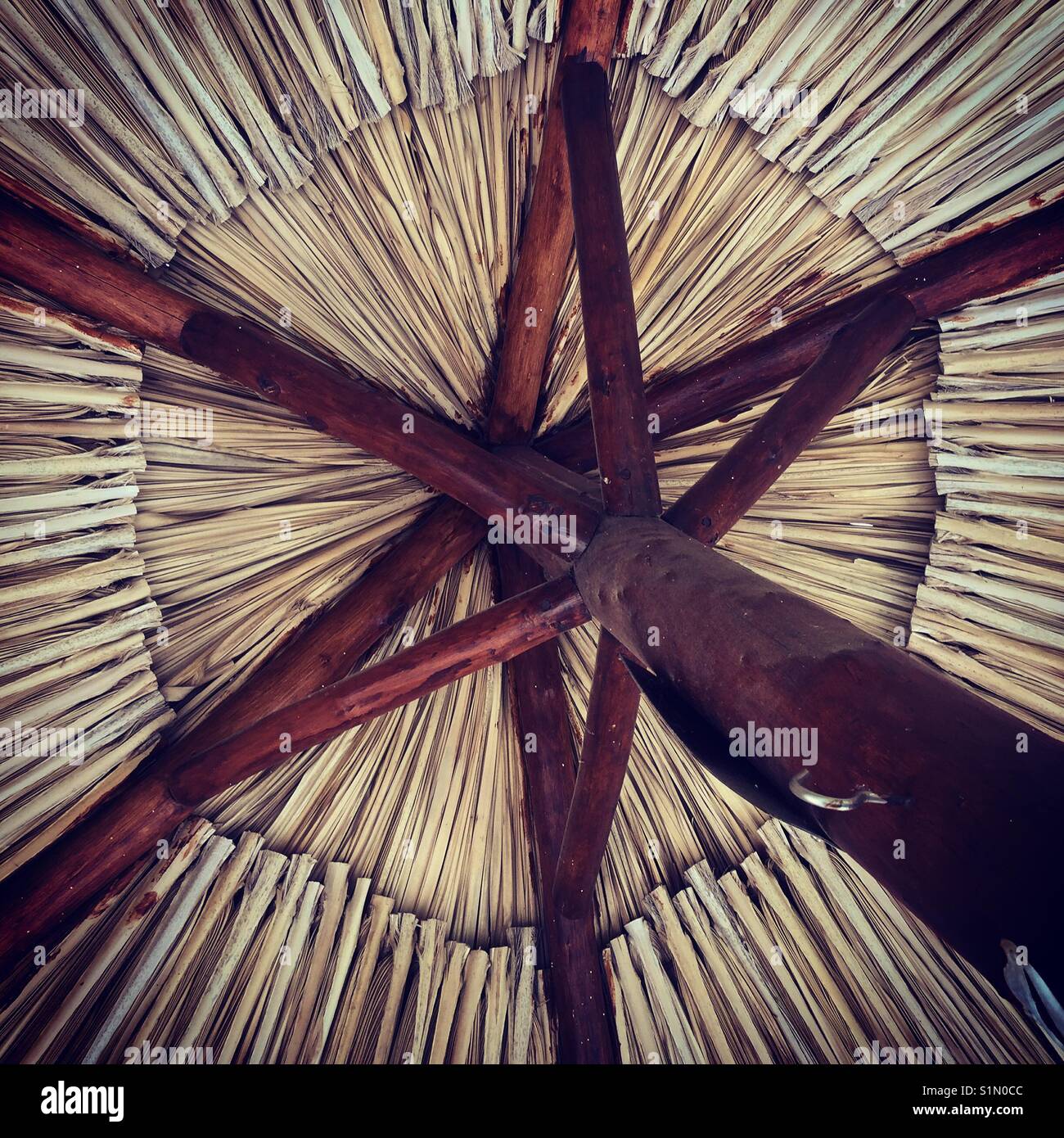 Chickee hi-res stock photography and images - Alamy