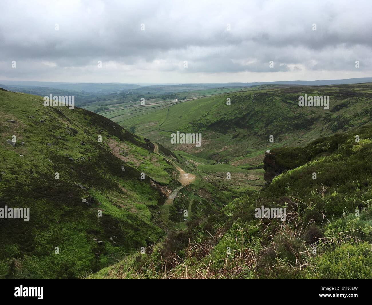 Moors wild hi-res stock photography and images - Alamy