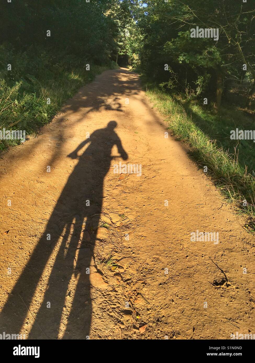Shadow of a mountain biker on a woodland trail Stock Photo - Alamy