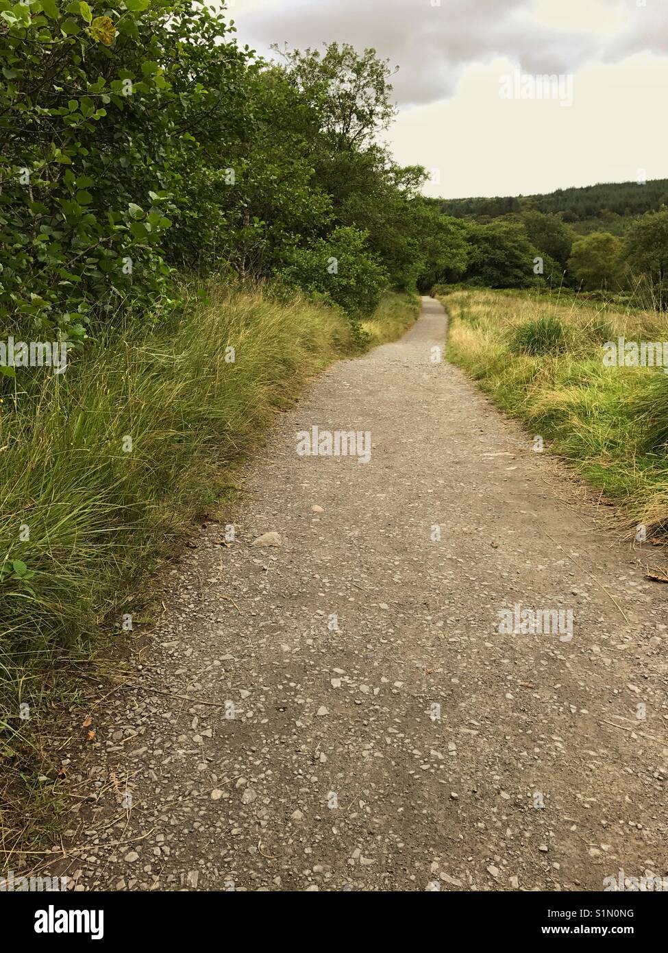 Countryside walking trail Stock Photo - Alamy