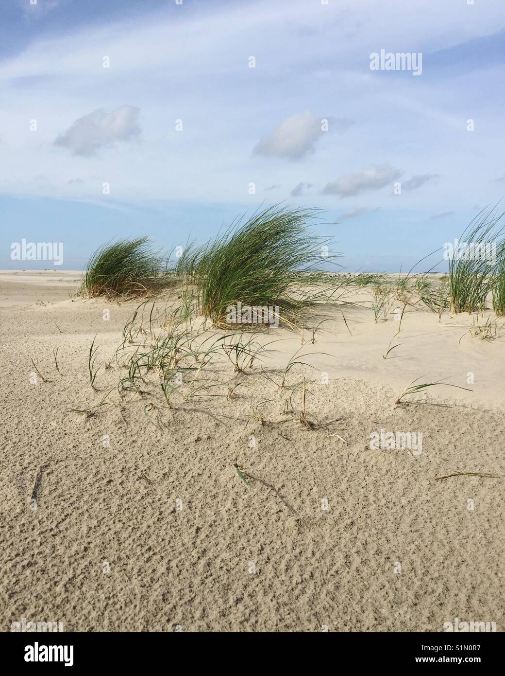 Sand with grass hi-res stock photography and images - Alamy