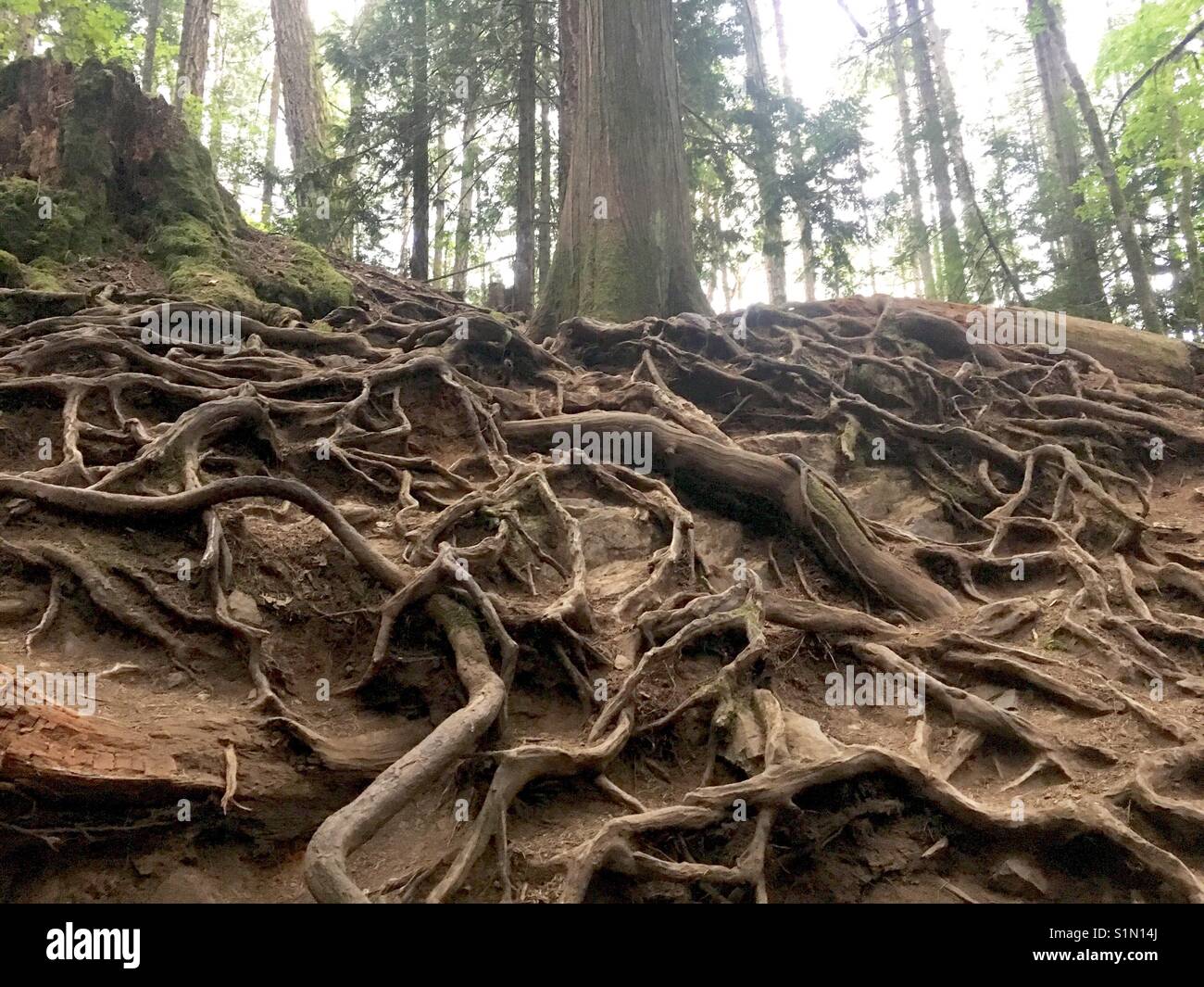 Entropy High Resolution Stock Photography and Images - Alamy