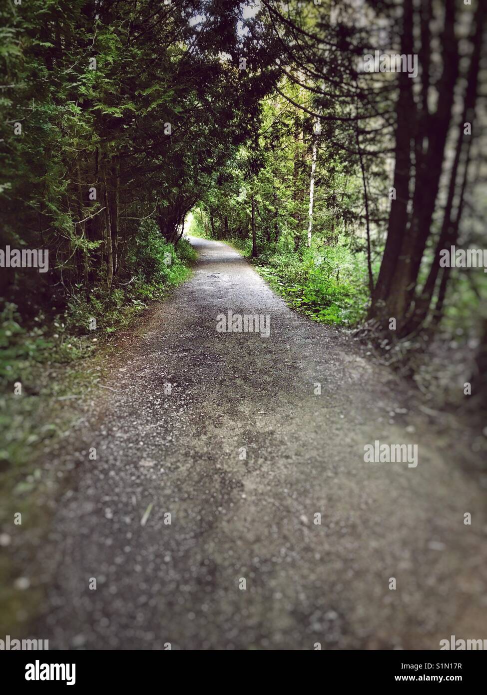 Path to the unknown Stock Photo - Alamy