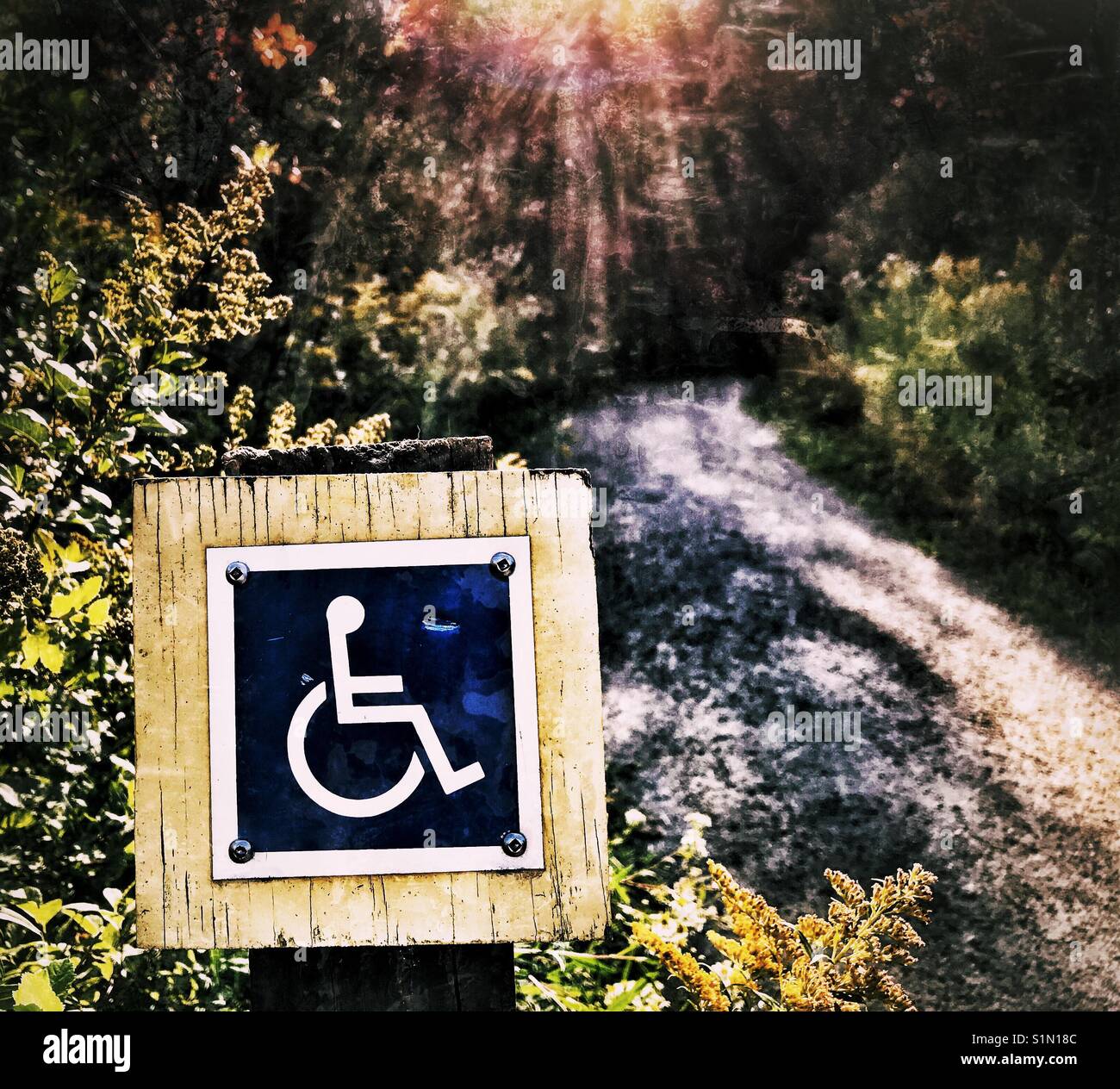 Wheelchair friendly hi-res stock photography and images - Alamy
