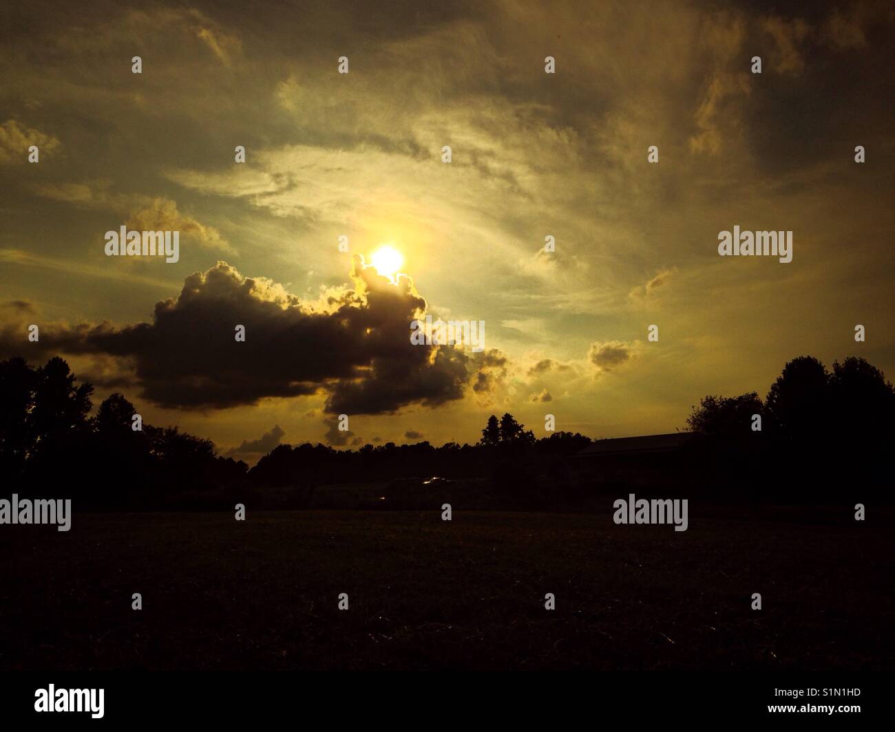 Evening sun over field in North Carolina Stock Photo - Alamy