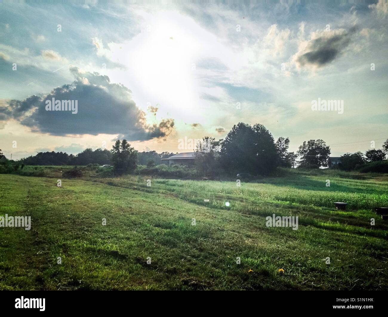 Sunset over meadow hi-res stock photography and images - Alamy