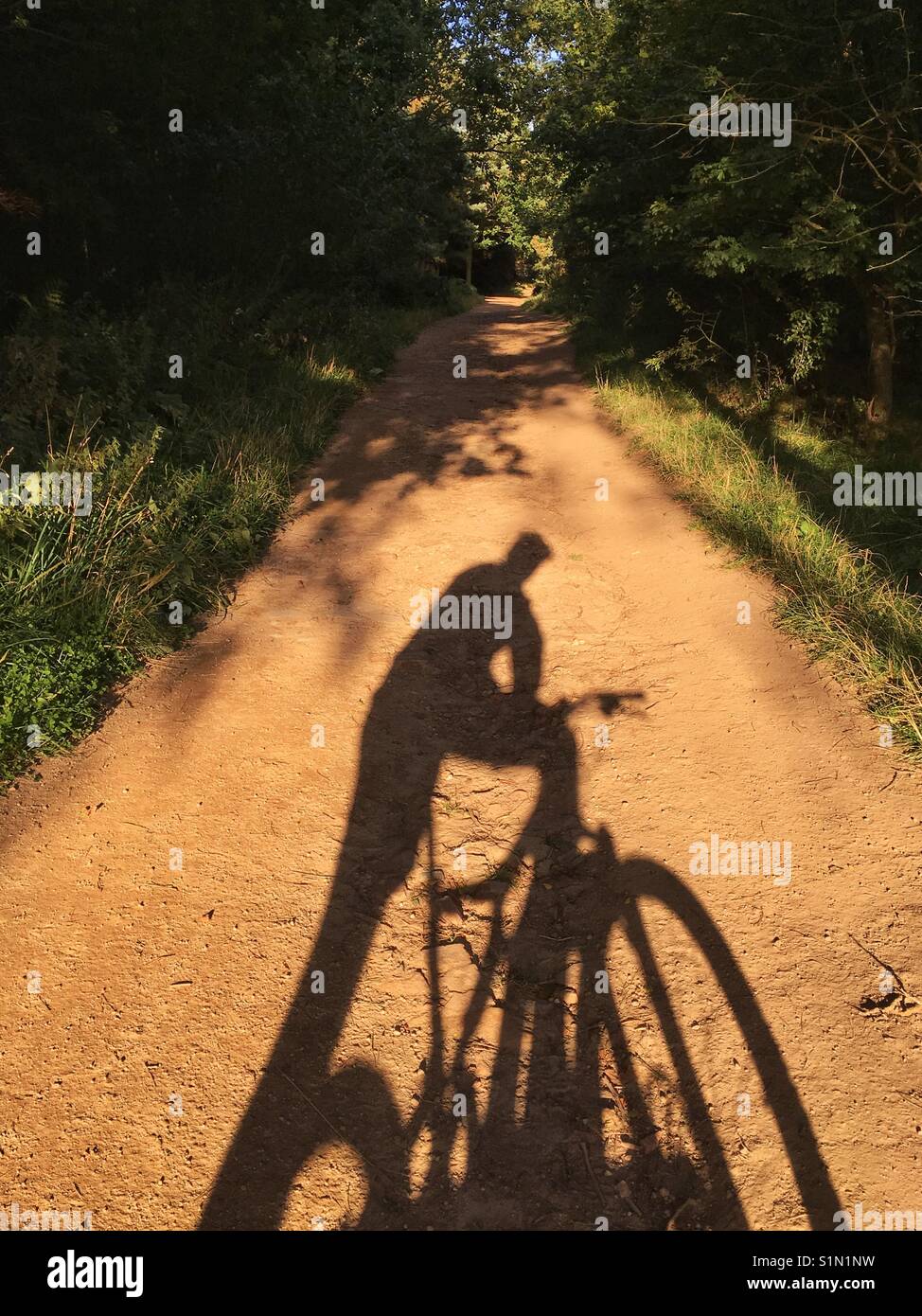 Shadow of a mountain biker on a woodland trail on Otley Chevin Stock ...