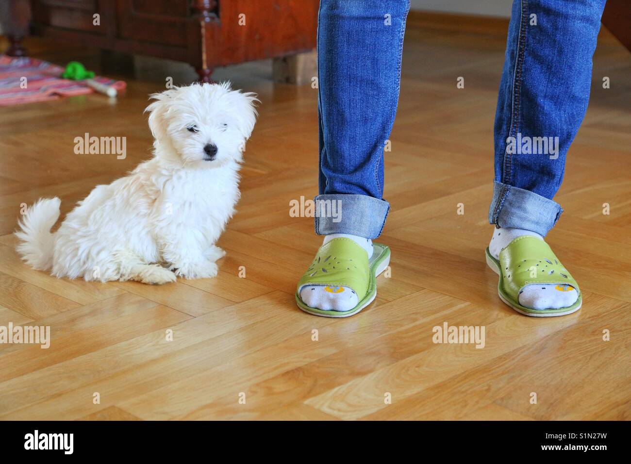 Maltese woman hi-res stock photography and images - Alamy