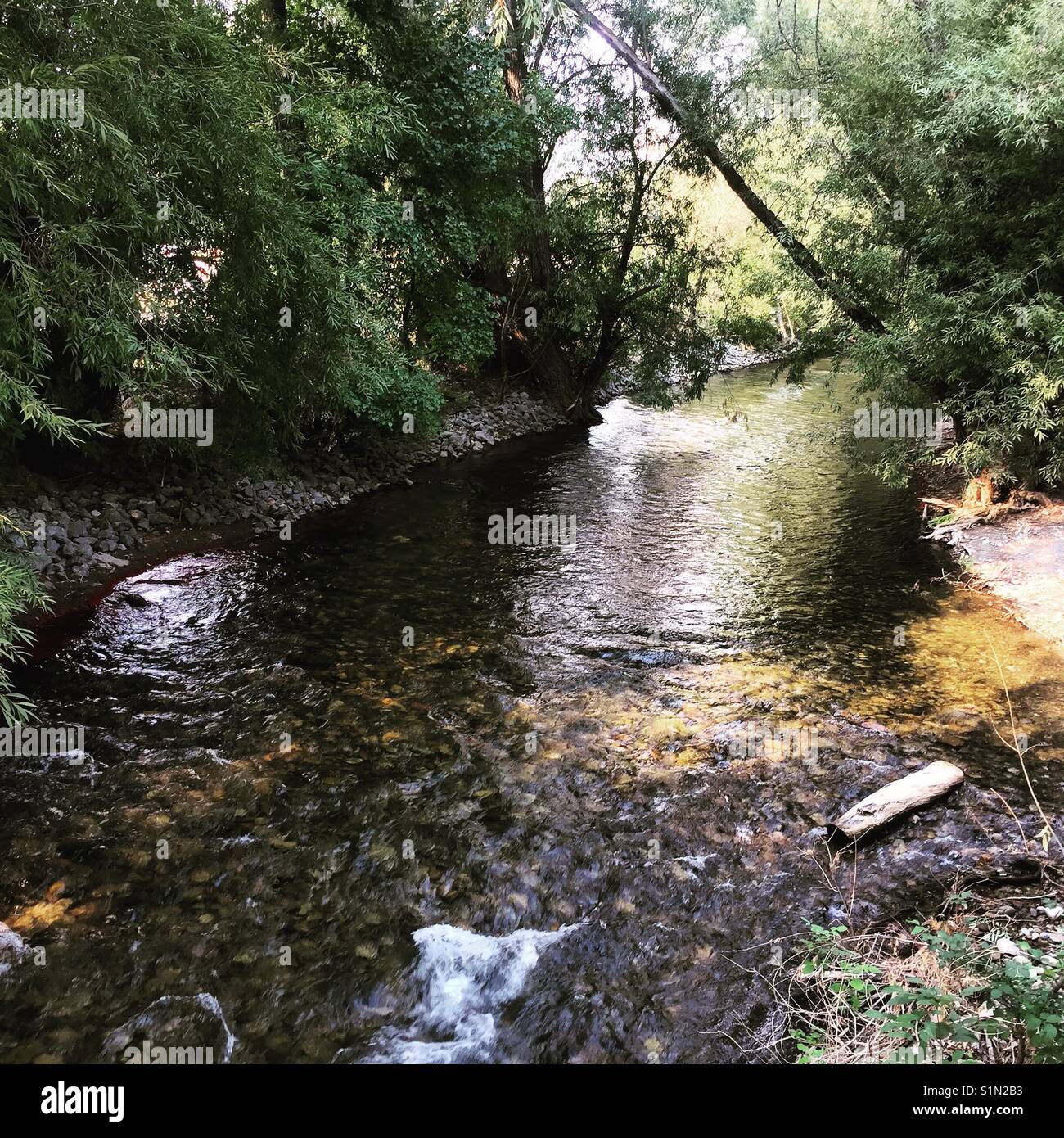 Logan River in Logan, UT Stock Photo - Alamy