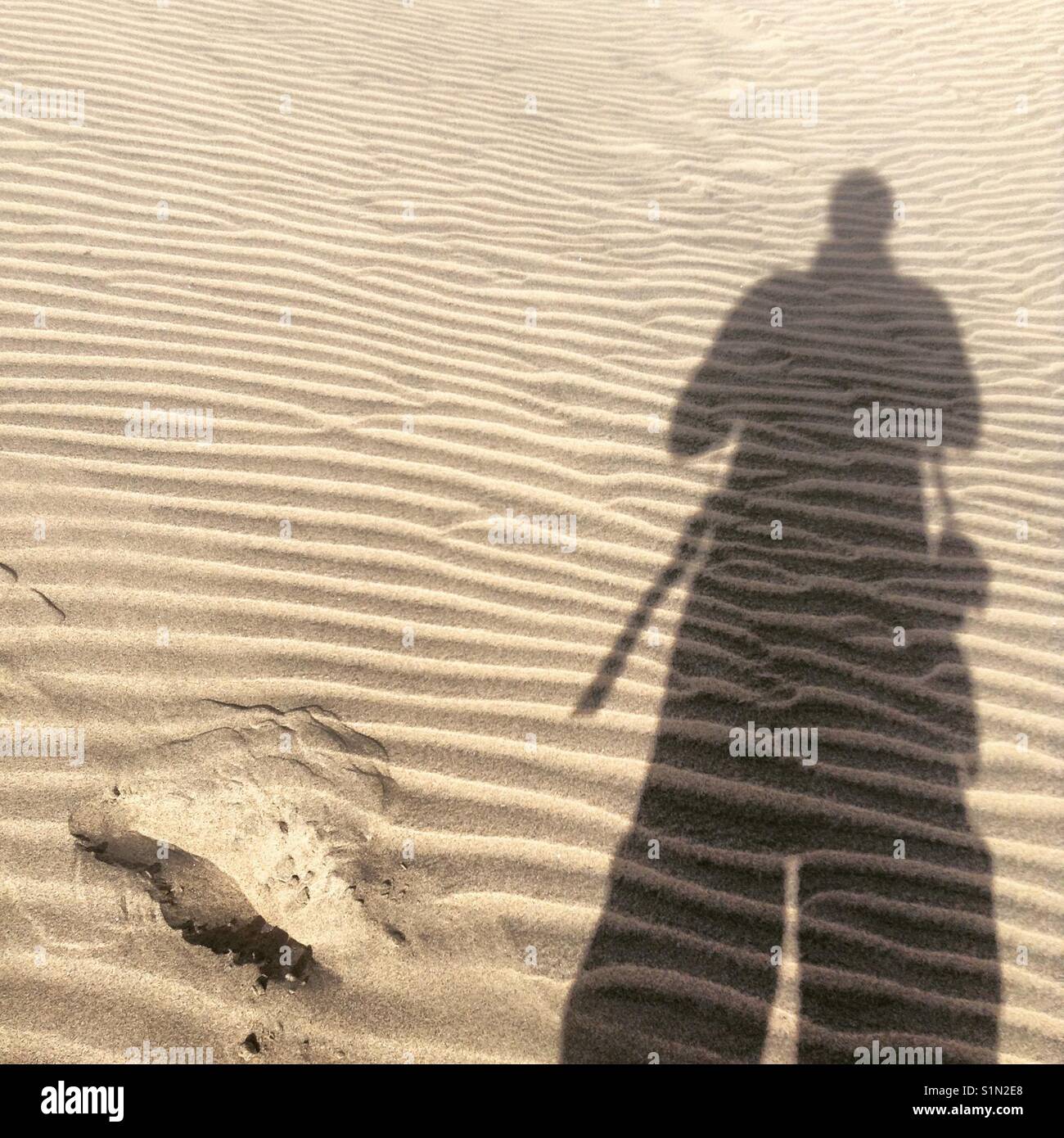 Person in desert hi-res stock photography and images - Alamy