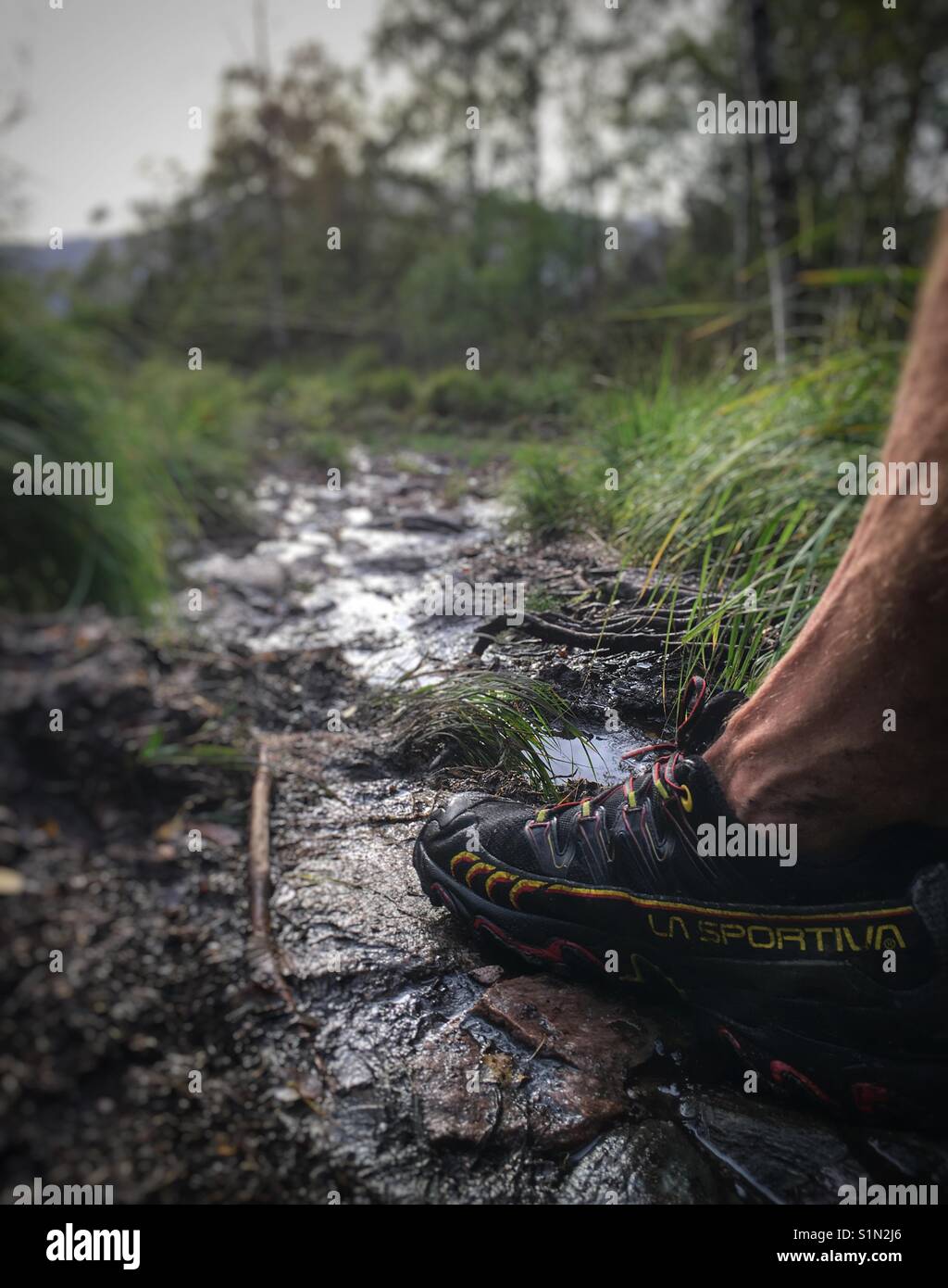 Wet leg hi-res stock photography and images - Alamy