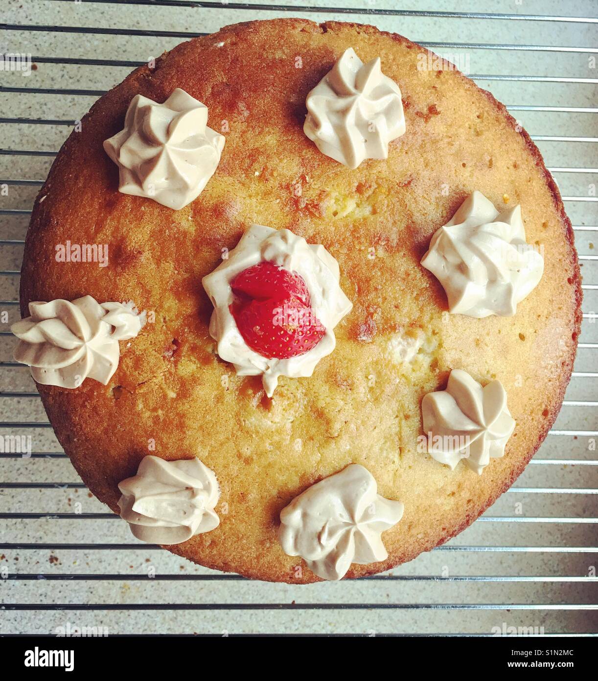 Overhead view of a sponge cake Stock Photo - Alamy