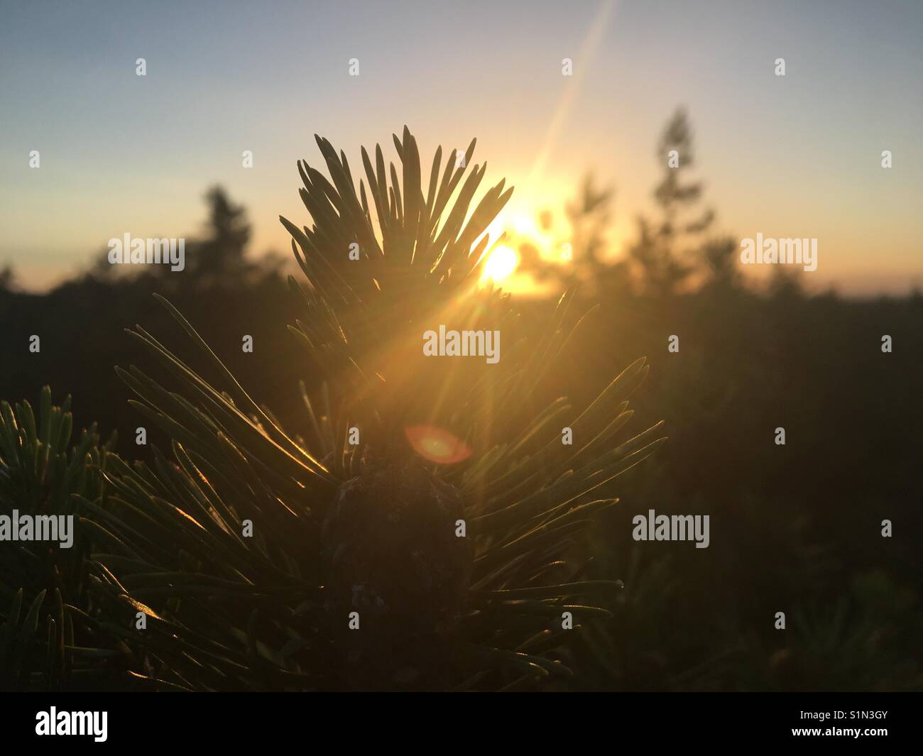 Lit flare hi-res stock photography and images - Alamy