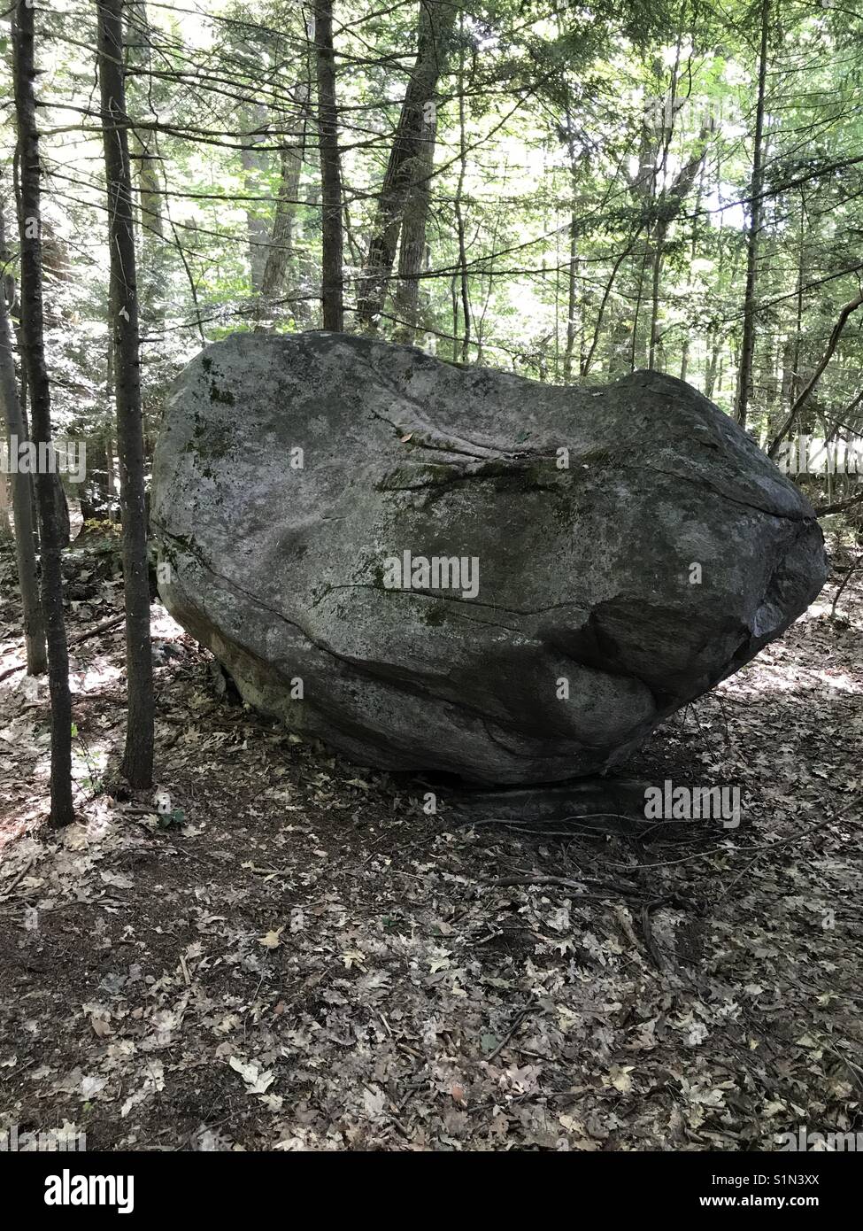 Trails hike trees hi-res stock photography and images - Alamy