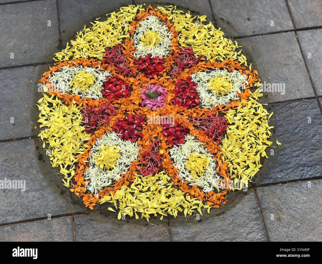 Onam flower hi-res stock photography and images - Alamy