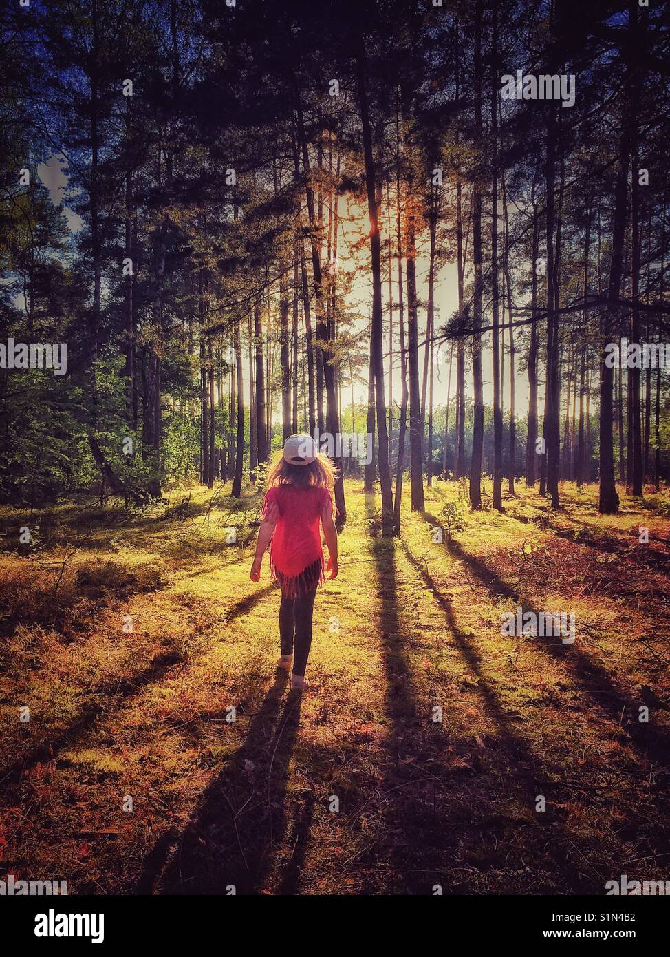 5 years old girl walking in forest Stock Photo - Alamy
