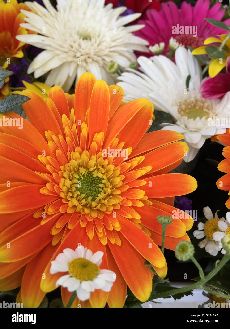 Bunch of yellow and orange flowers hi-res stock photography and images ...