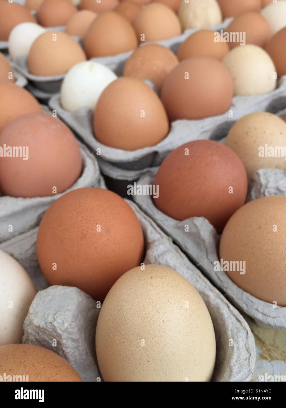 Farm fresh organic eggs 2 Stock Photo - Alamy