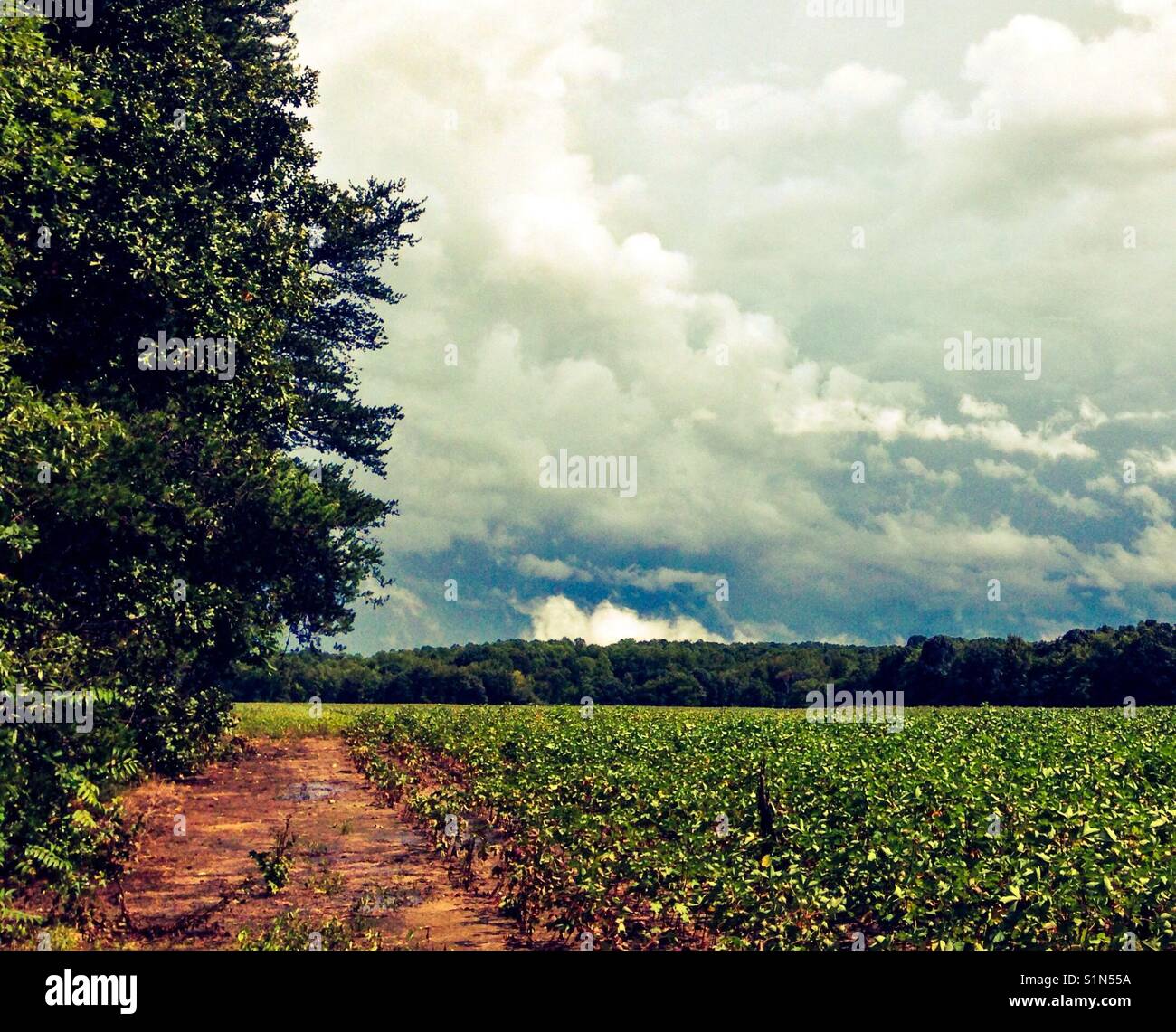 Low lying storm clouds hi-res stock photography and images - Alamy