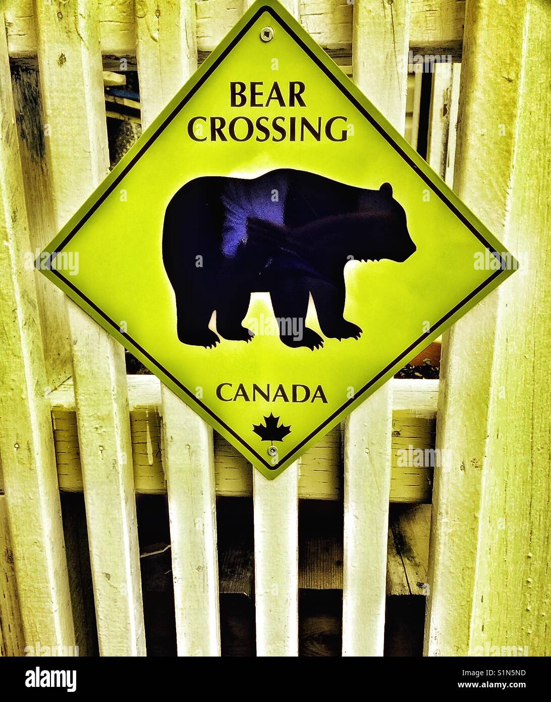 Care bear smartphone stock photos and images - Alamy