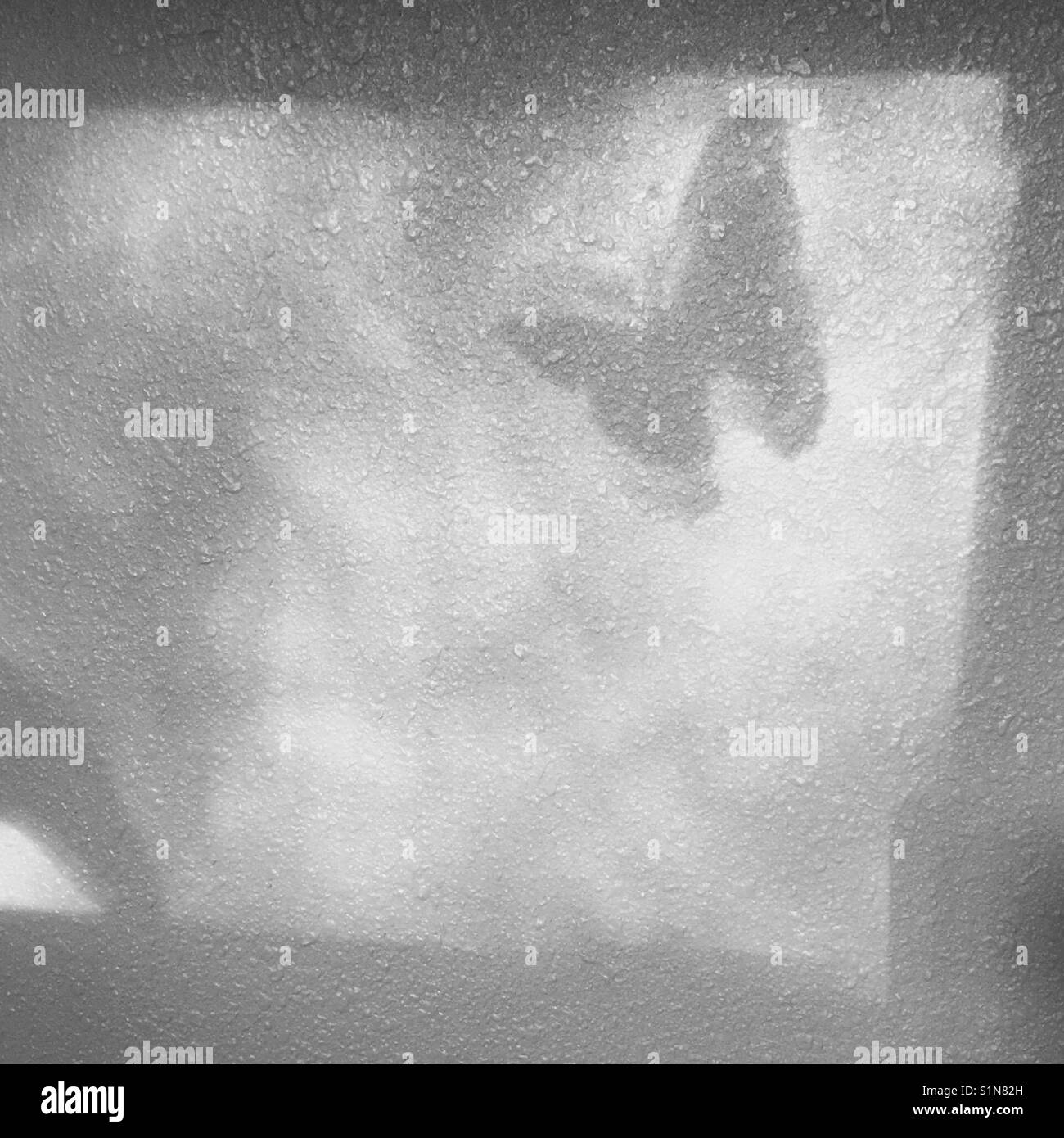 Shadow of butterfly hi-res stock photography and images - Alamy