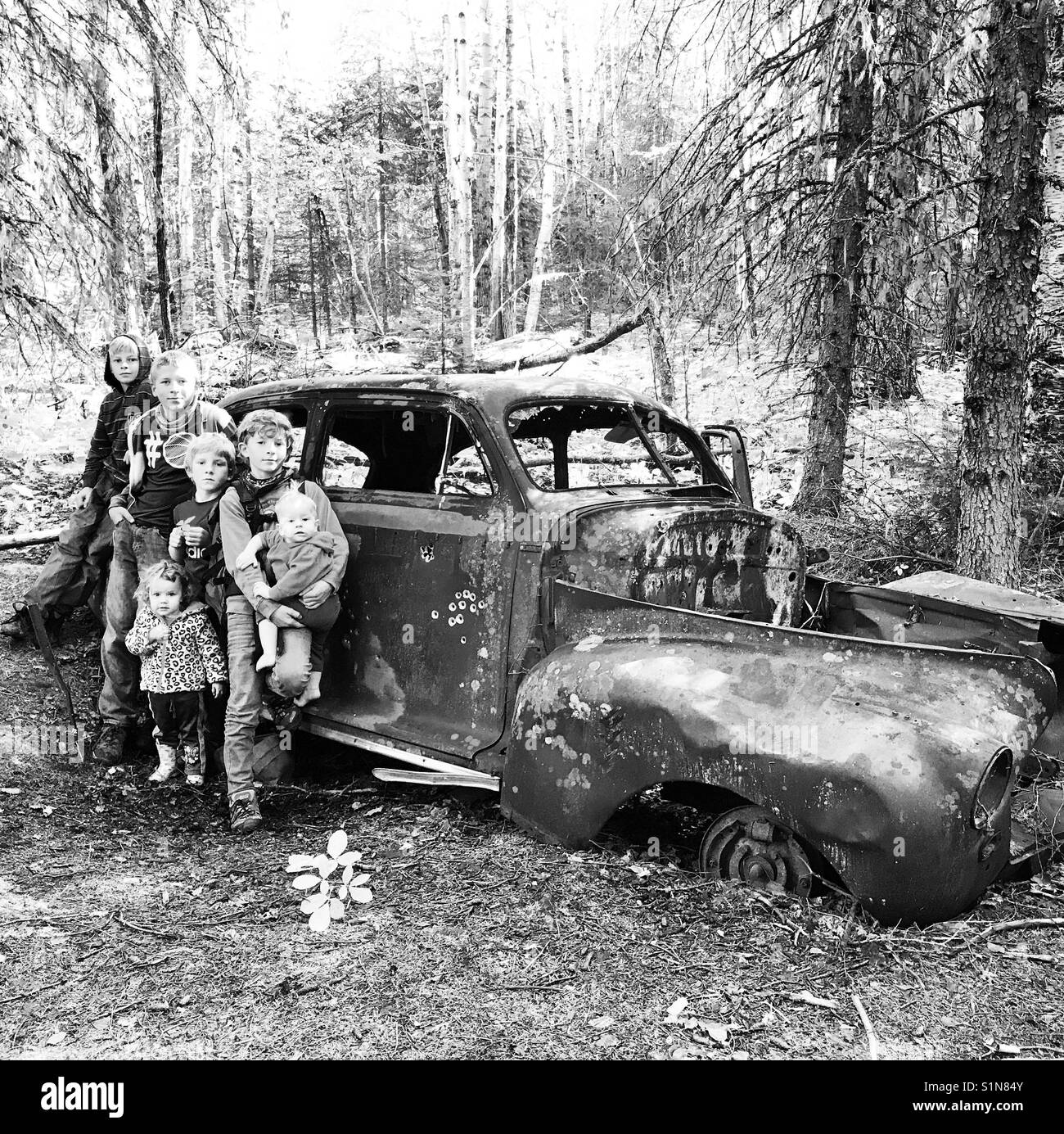 Car Bush Stock Photos & Car Bush Stock Images - Alamy