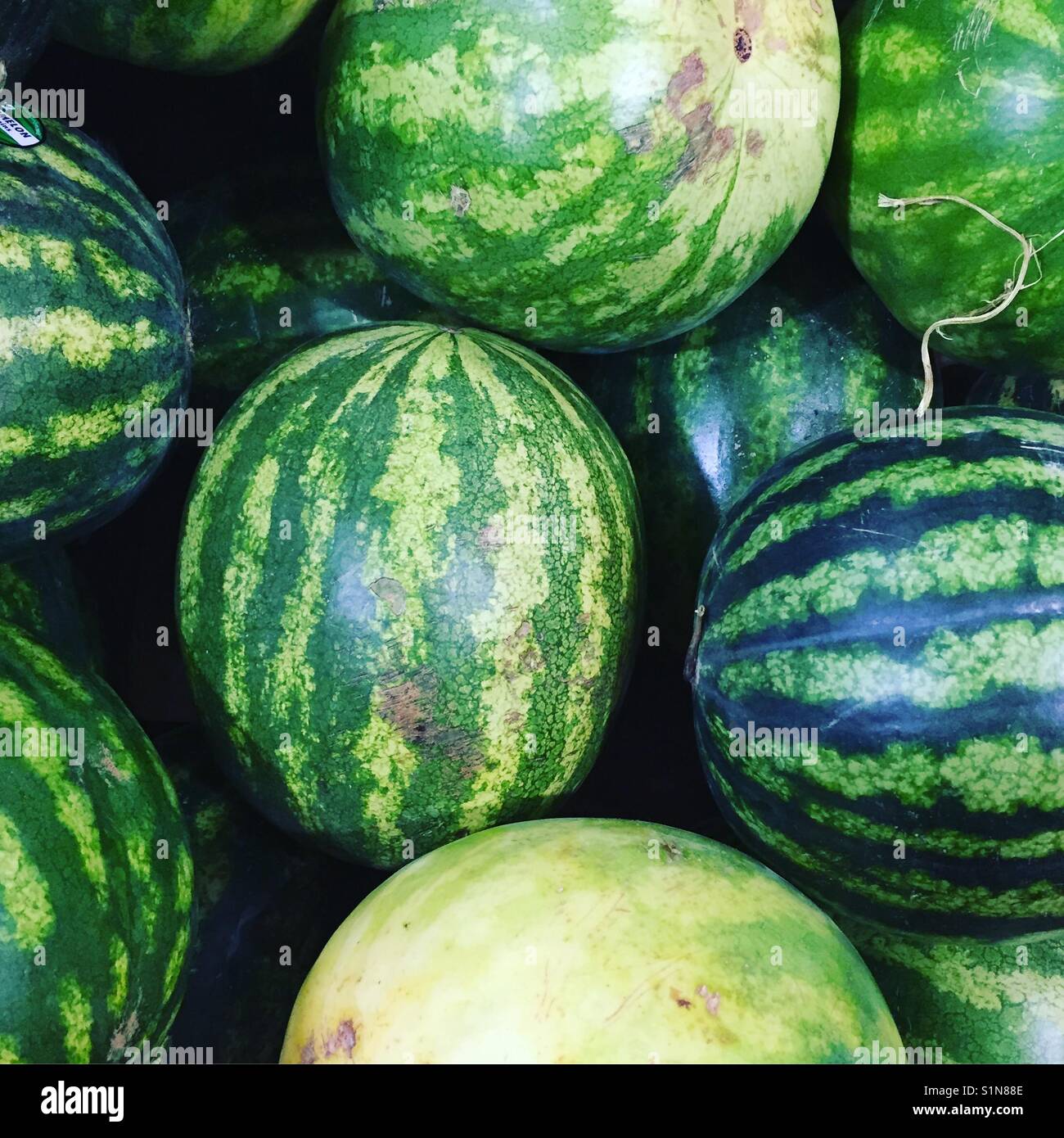 Homegrown watermelon hi-res stock photography and images - Alamy