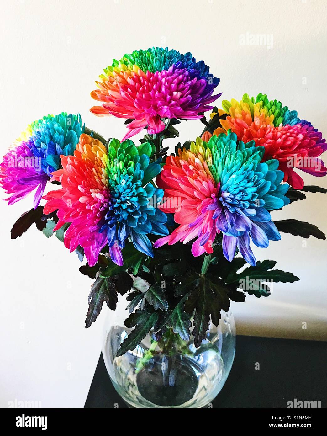 Rainbow with flowers hi-res stock photography and images - Alamy