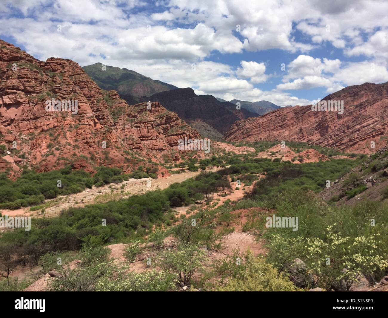 Salta province region hi-res stock photography and images - Alamy