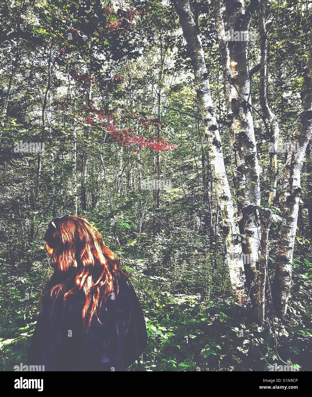 Girl in a forest Stock Photo - Alamy